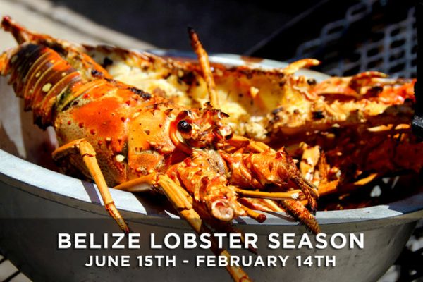 Maya Island Air | Grilled Lobster Tails